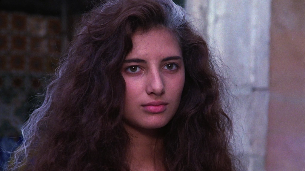 Мальчик на крыше / Asfour Stah (1990) BDRip [H.264] [AVO] :: NNM-Club